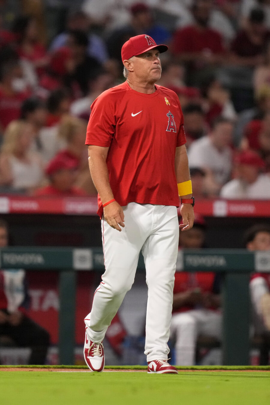 Los Angeles Angels Rumors - MLB Trade Rumors